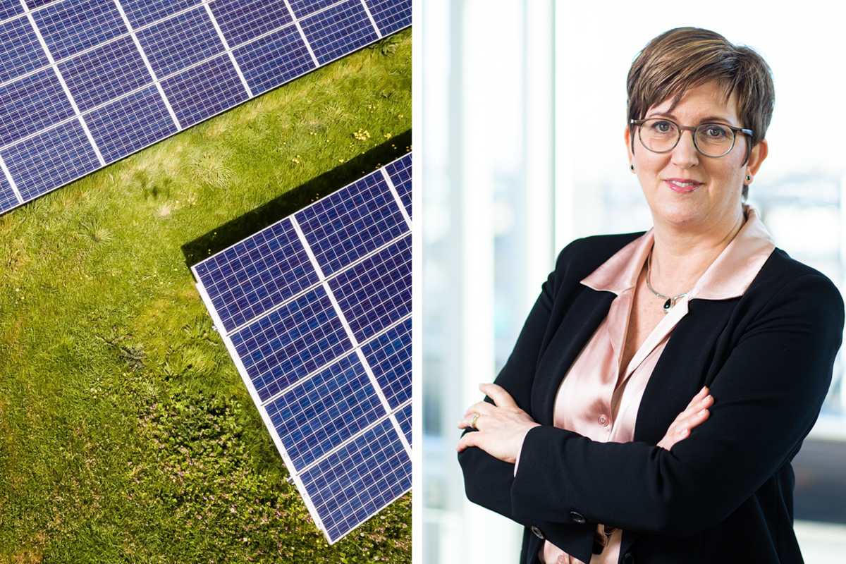 Ny energiplan: REPower EU - Carnegie